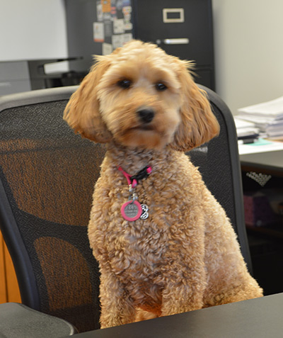 Photo Gallery - Master Machine Rebuilders